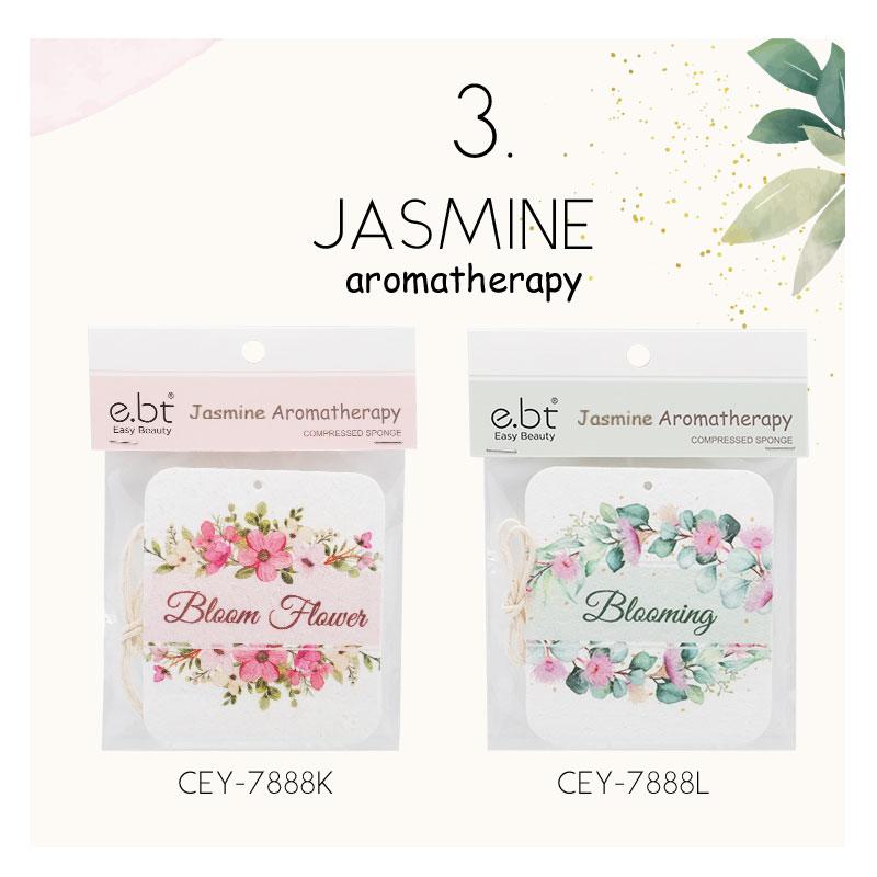 Aromatherapy Compressed Sponges SET 1 CEY-7888A - Horizon