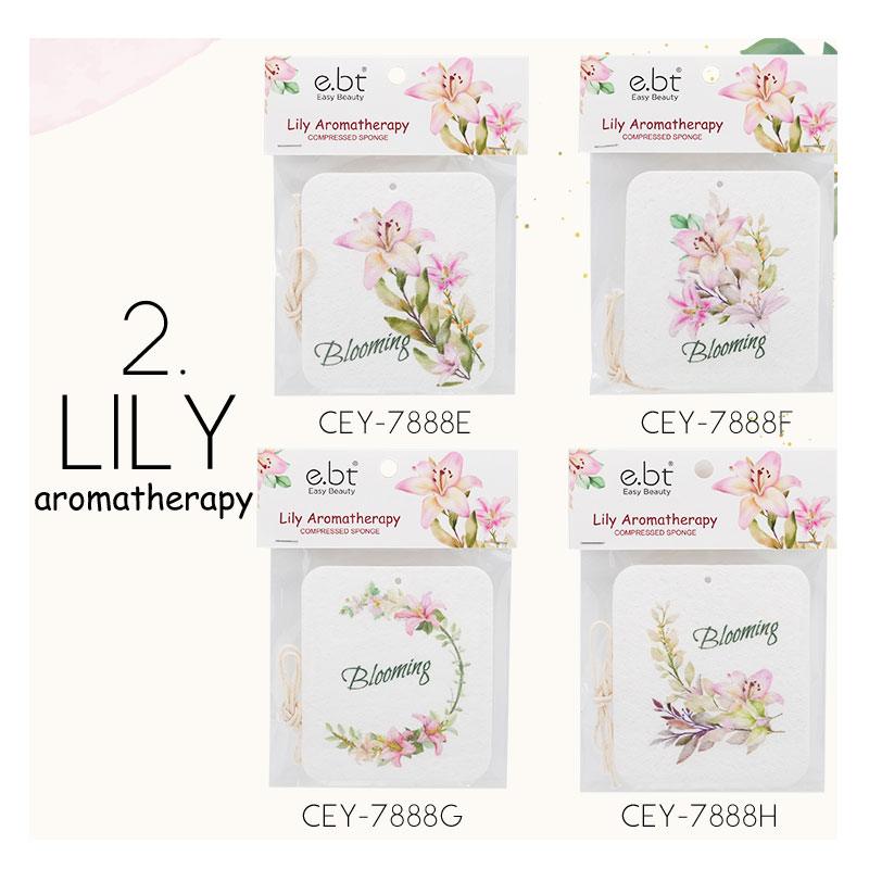 Aromatherapy Compressed Sponges SET 1 CEY-7888A - Horizon